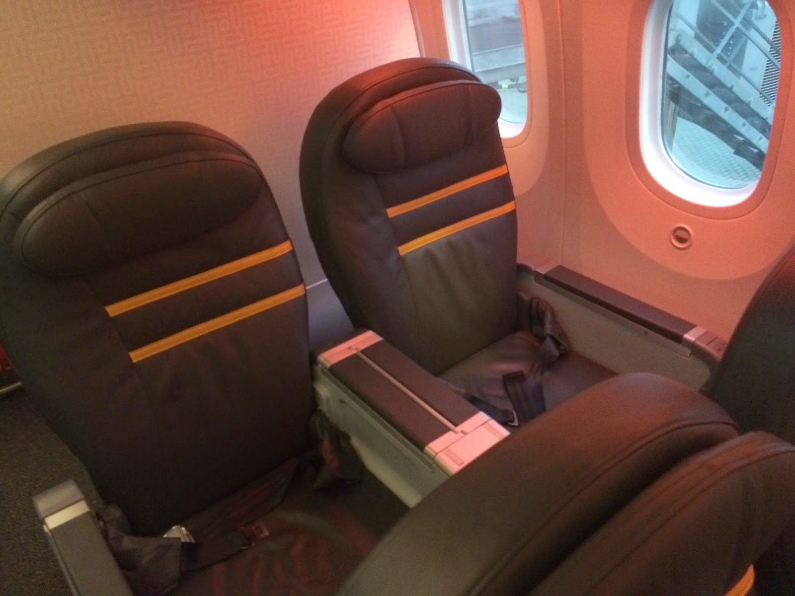 Charles Ryan's Flying Adventure: Scooting Off On The Boeing 787-9 ...