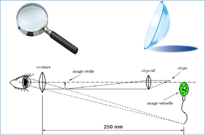 Les différents types des microscopes - Optique , Photonique ...