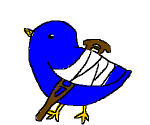 Meanderings of My Mind: Broken-winged birds