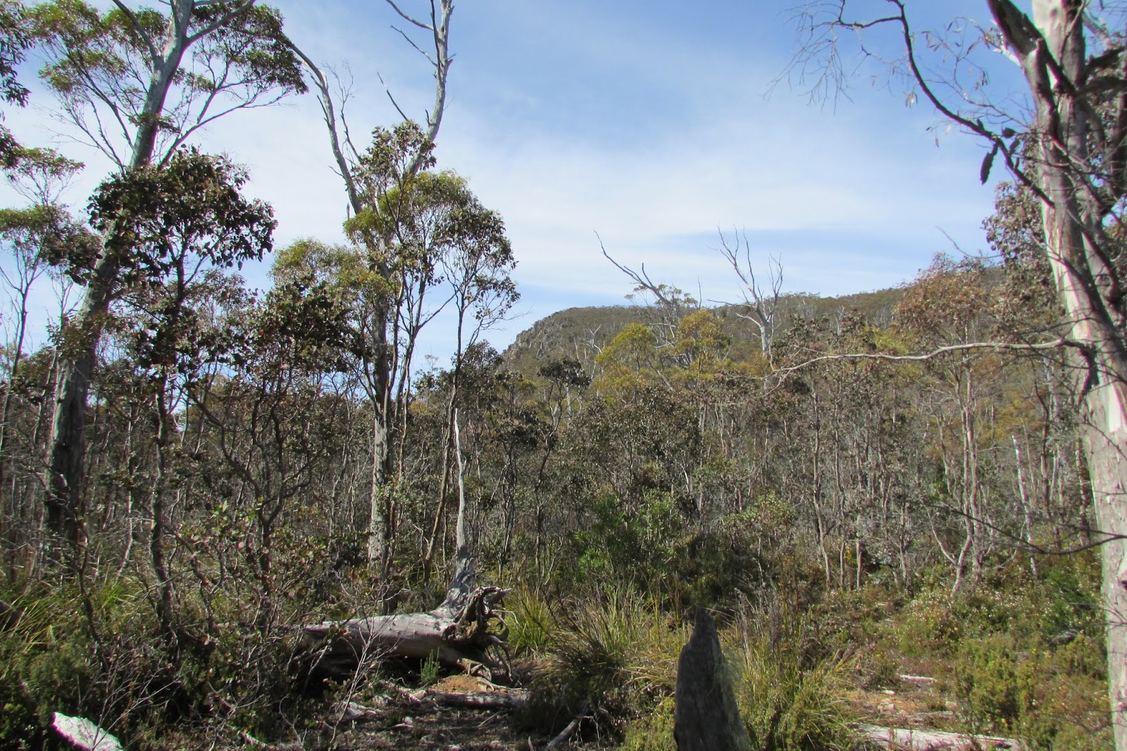 Mount Charles from Lachlan | Hiking South East Tasmania