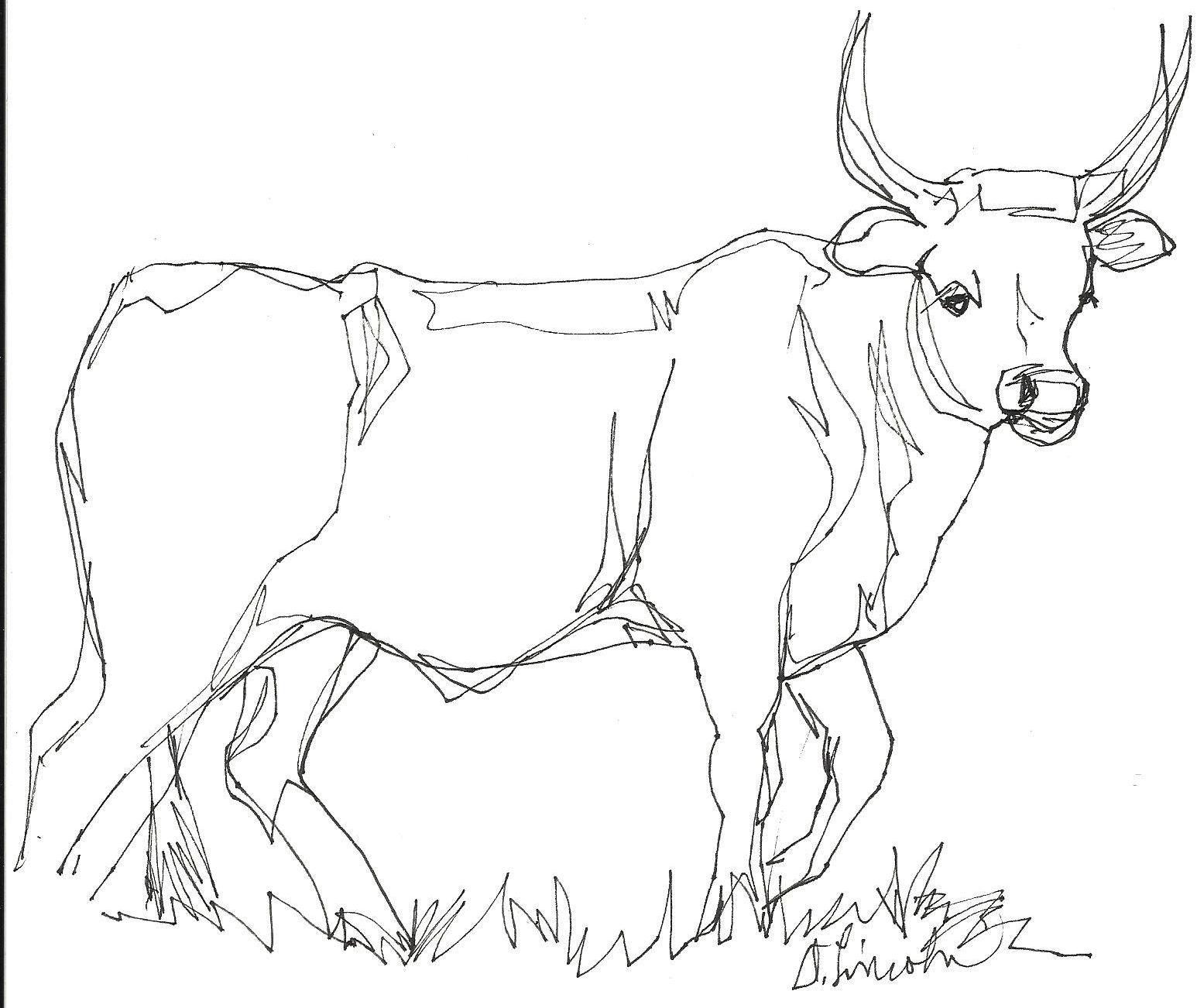 Now or Never: Cow in the front yard - line pen and ink drawing