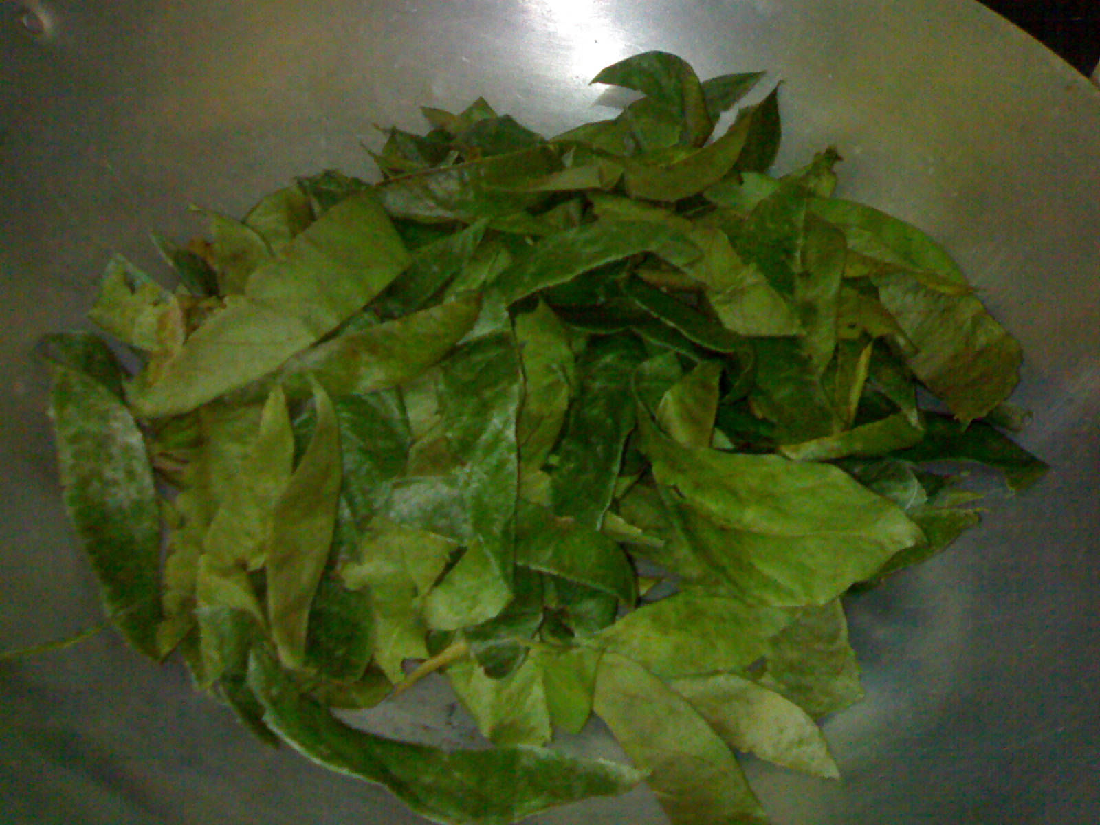 Green Leaf: How To Make Banaba Capsule