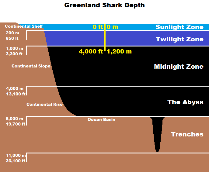 Real Monstrosities: Greenland Shark