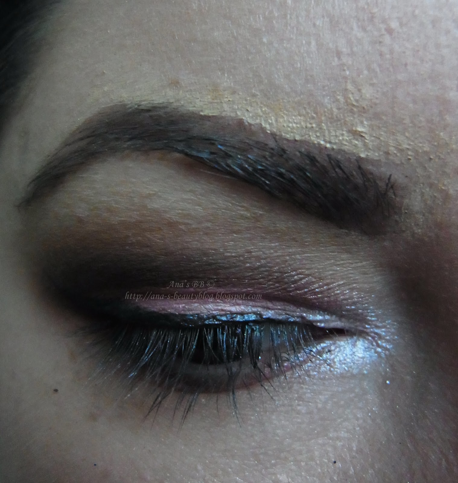 Ana's Beauty Blog: Tutorial - How I contour my eyebrows