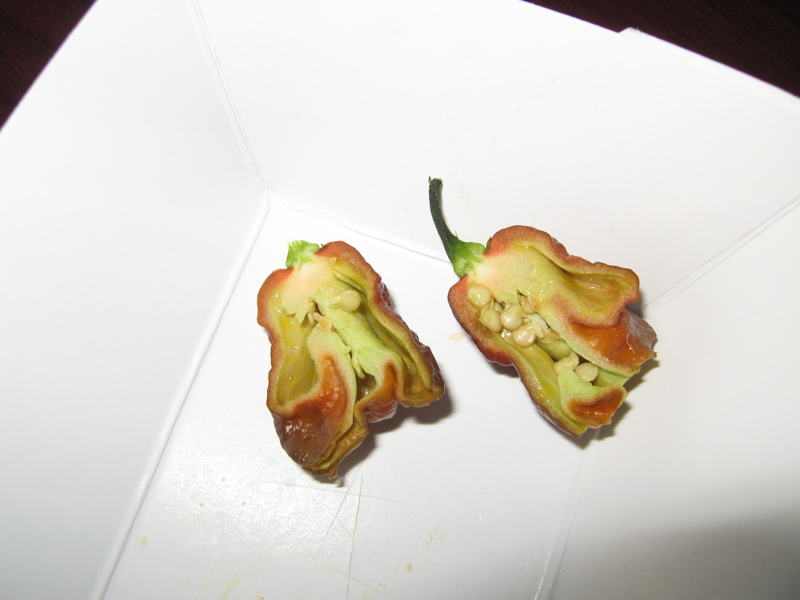 Extreme Hot Peppers