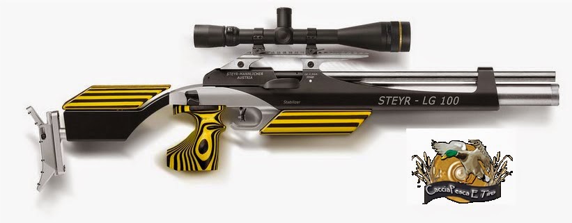 Armi usate web portal: Carabina Steyr