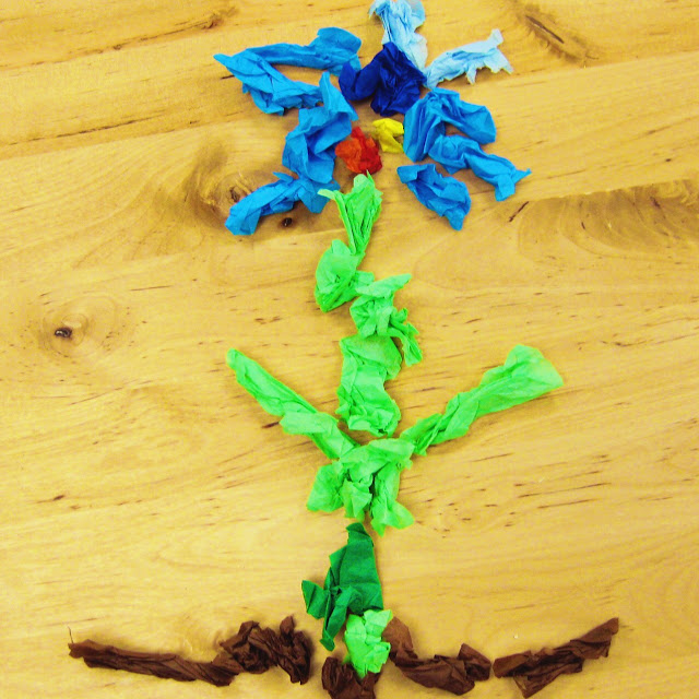 A few flower encounters on a Friday evening! | Transforming our ...