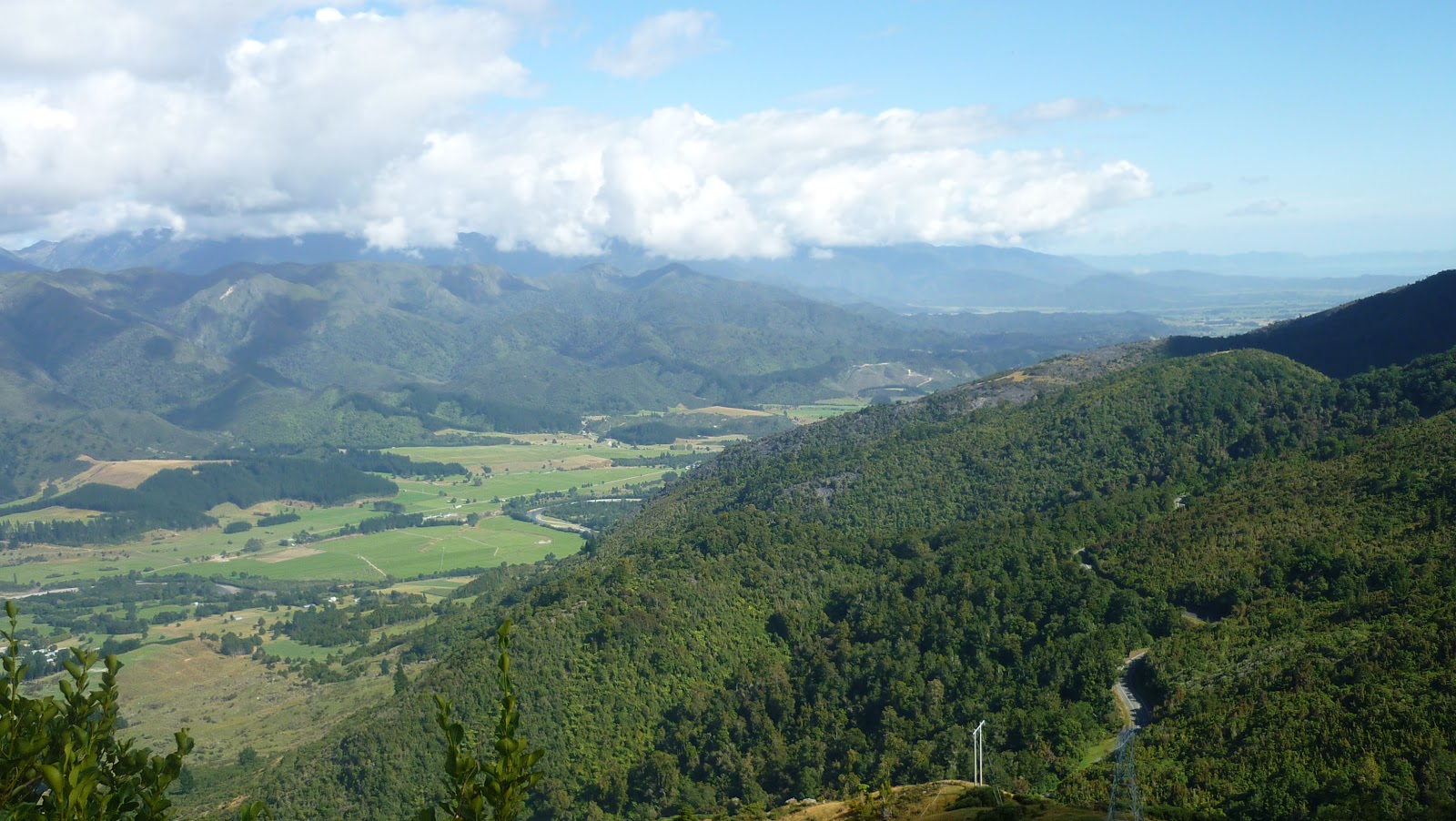 New-Zealand Adventure: Tondre des lamas à Cissy bay