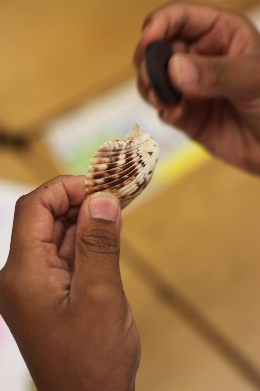 Simply Second Grade: Inventors & Magnets