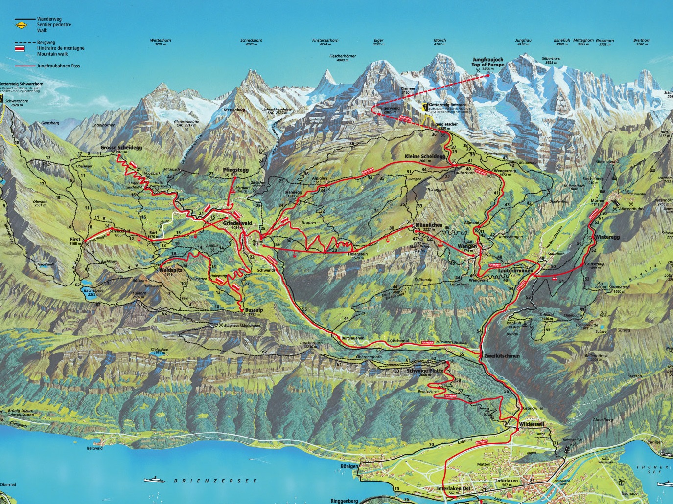 Freys in the UK: Switzerland: a Week in Wengen Hiking the Bernese Oberland