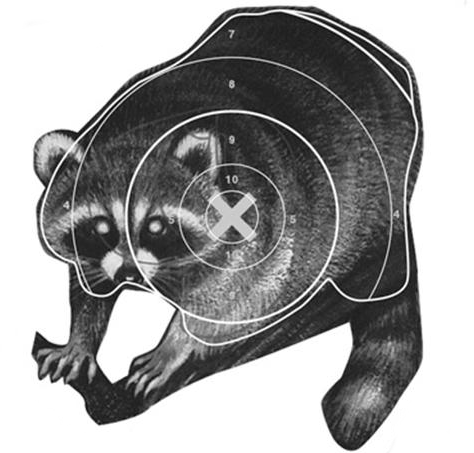 Project Gridless: Assorted Paper Archery Targets