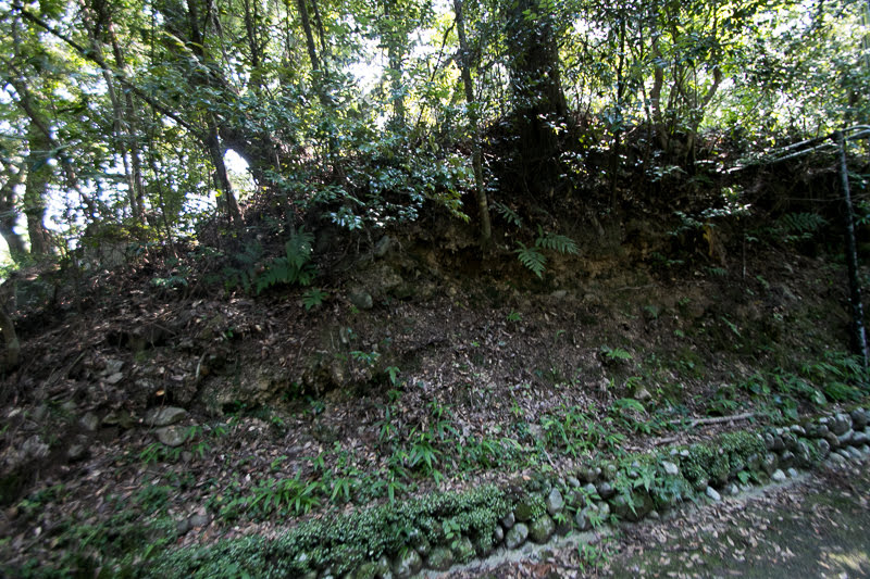 Nakamura Castle (Tosa) -History of island hero (5) Beat of benefactor ...