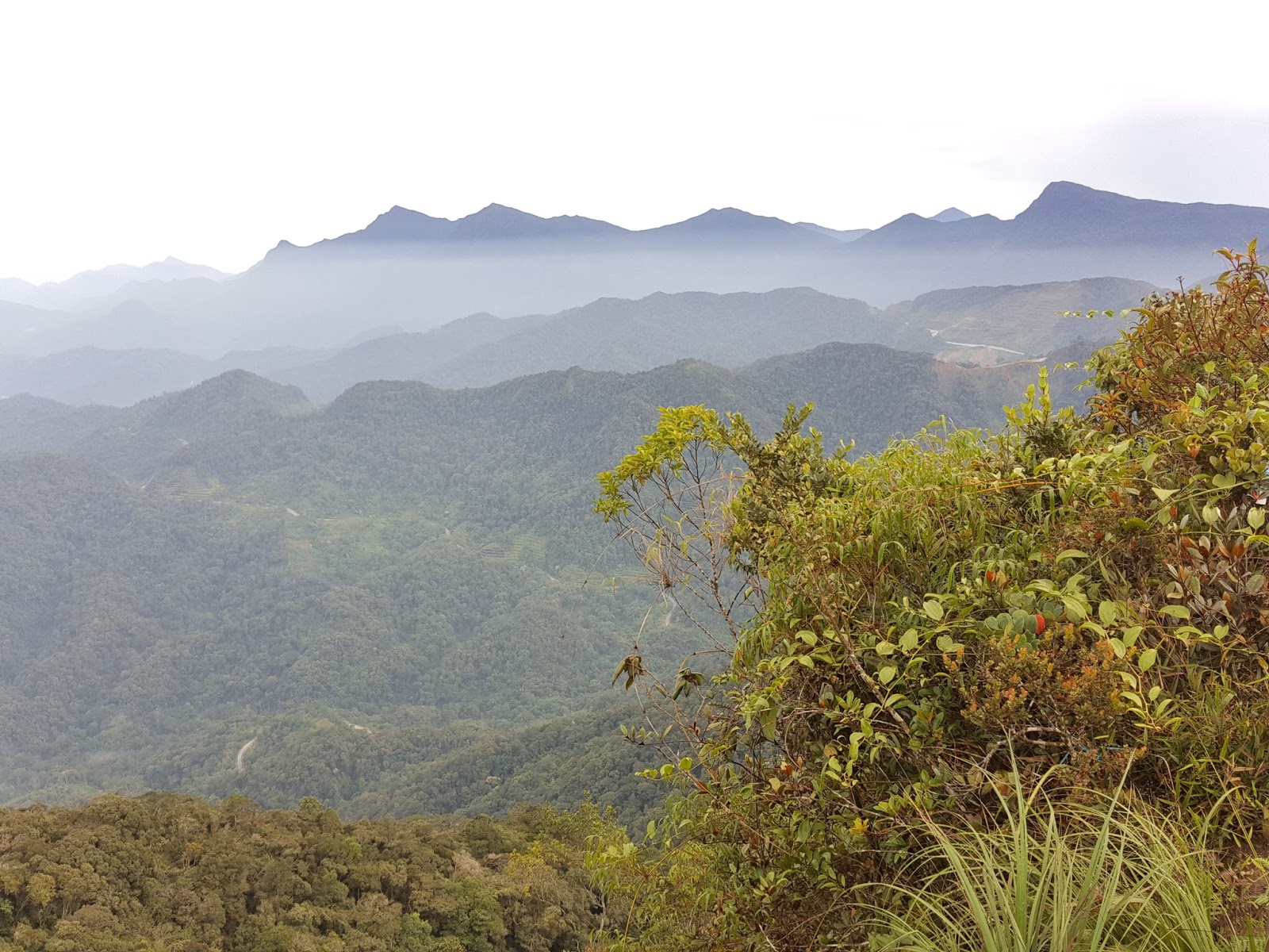 My SweeT JouRNeY 2 ReMeMBeR: Gunung Suku / Mount Suku, Cameron Highlands