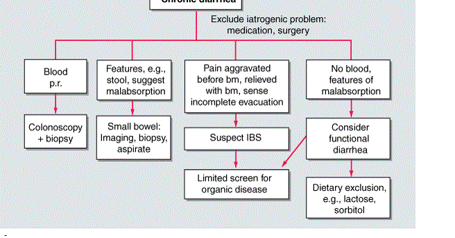Study Medical Photos: Approach To A Patient With Chronic Diarrhoea