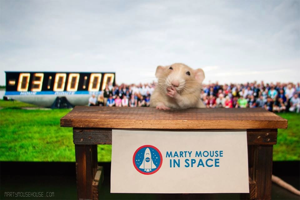 Behind the Scenes at Stuart Ng Books: Behind the Scenes with Martin ...