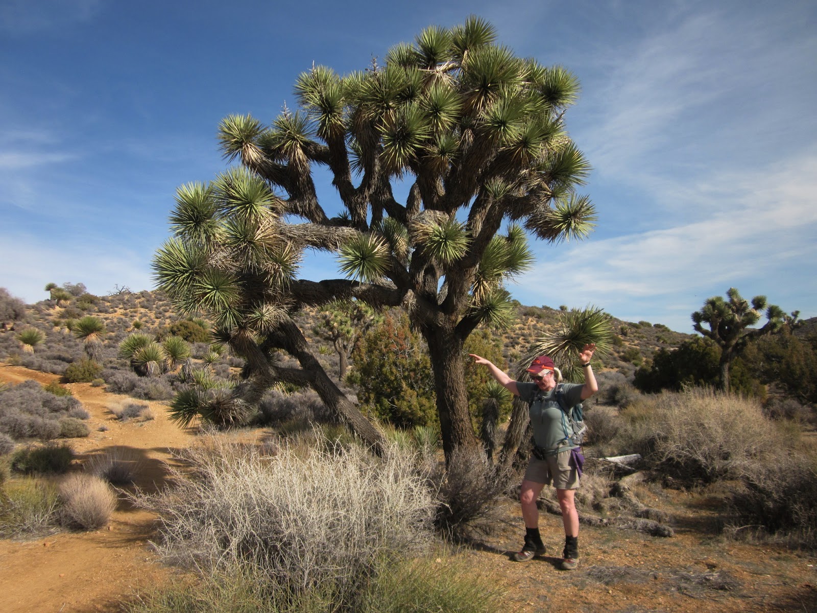 Smoky Scout's Hiking Adventures: Joshua Tree National Park - Keys Point ...