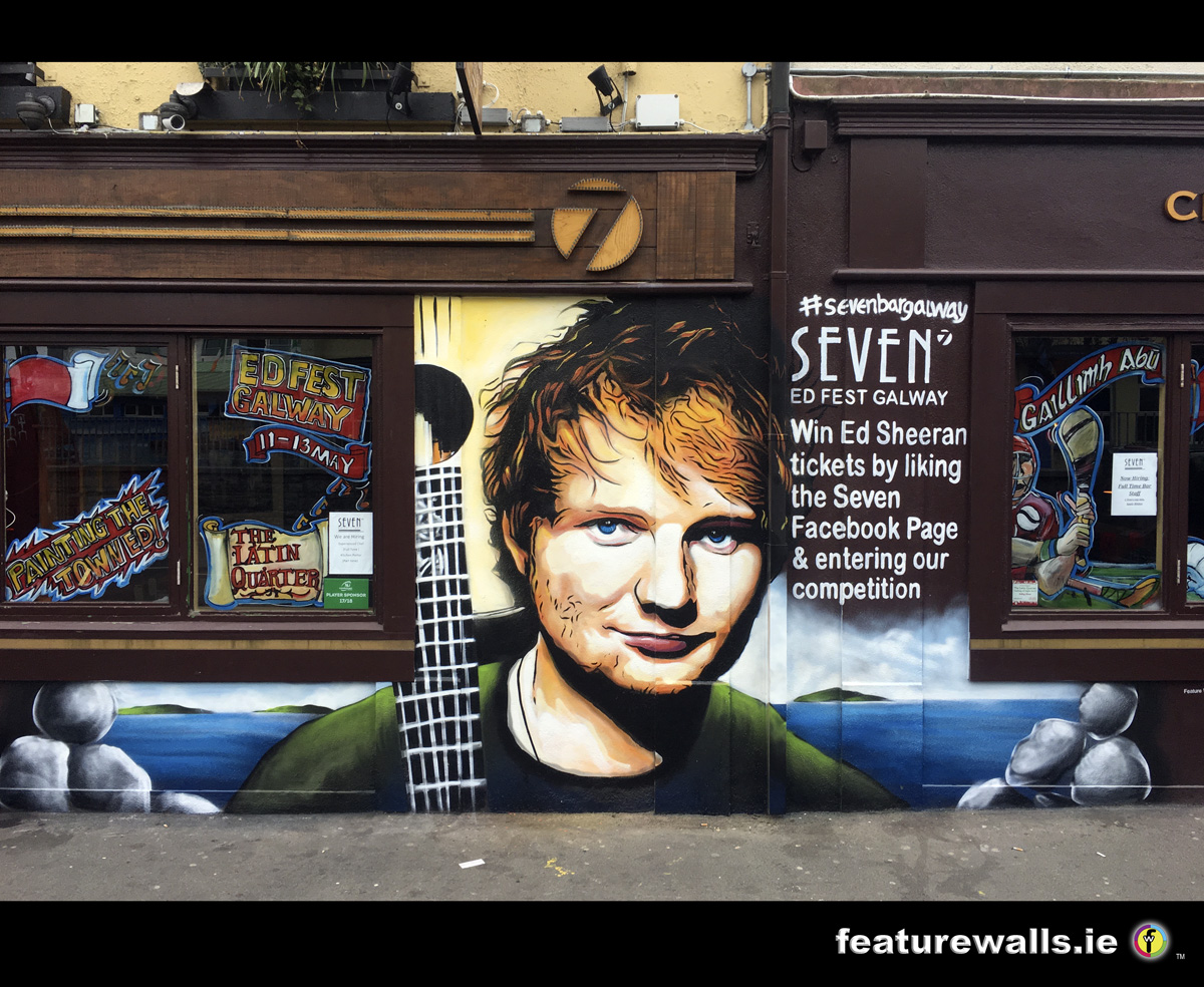 Mural Painting Professionals featurewalls.ie