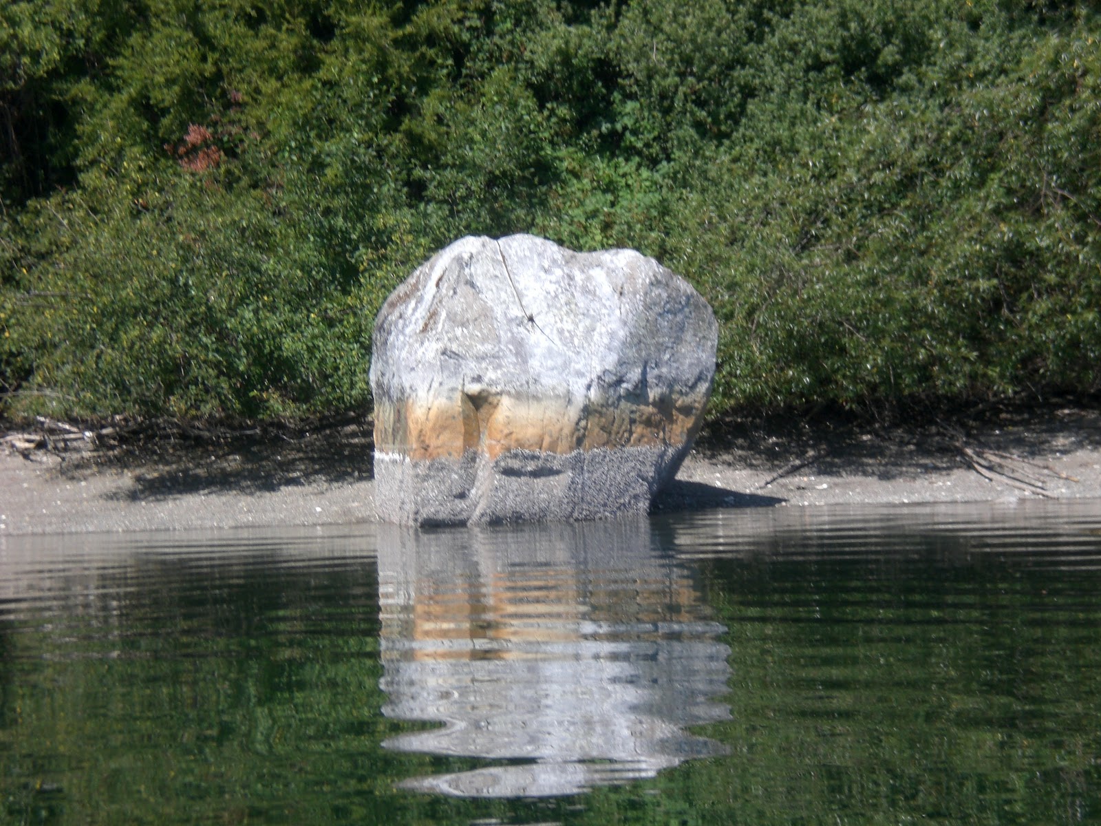 The Adventures of Shatoosh and Pashmina: Totten Inlet and Little ...