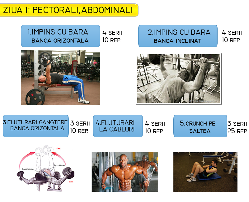 Sala de forta - exercitii , programe , alimentatie: Antrenament sala