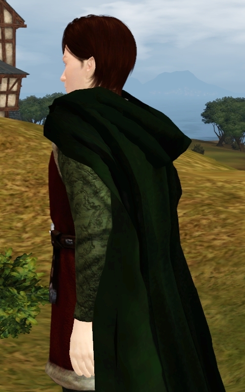 Загрузки для Sims Medieval : Cloak with hood down by Natalia Auditore ...