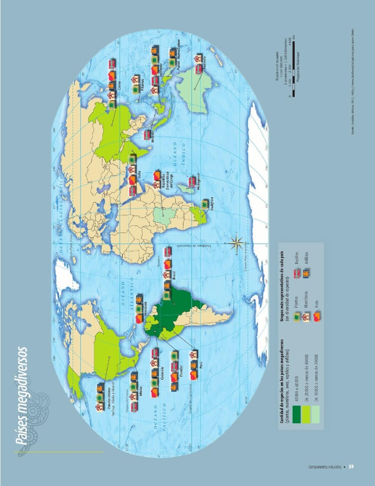 Diversidad de Flora y Fauna - Capítulo 2 - Lección 4 ~ Apoyo Primaria