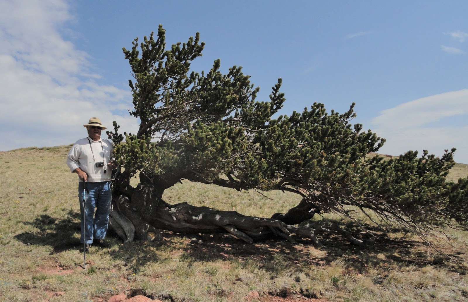 Prairiebreak: Colorado! or bust (Mementos from EXACTLY five and a half ...