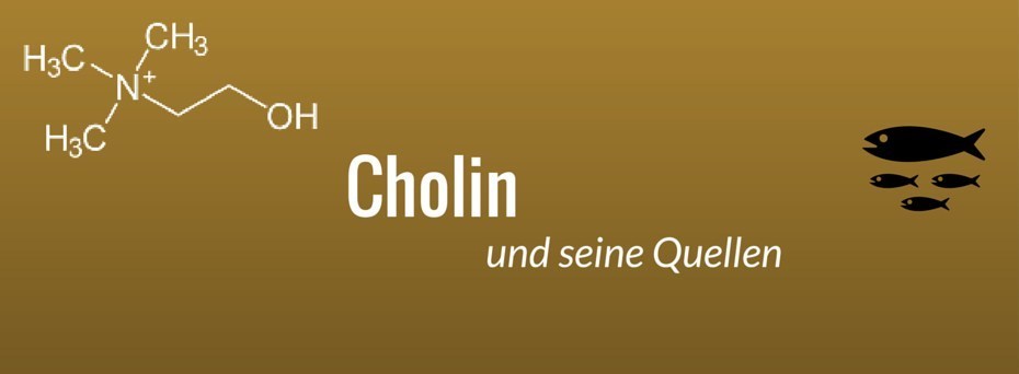Vitalstoffe: Cholin & Inositol – Die Nerven-Erneuerer
