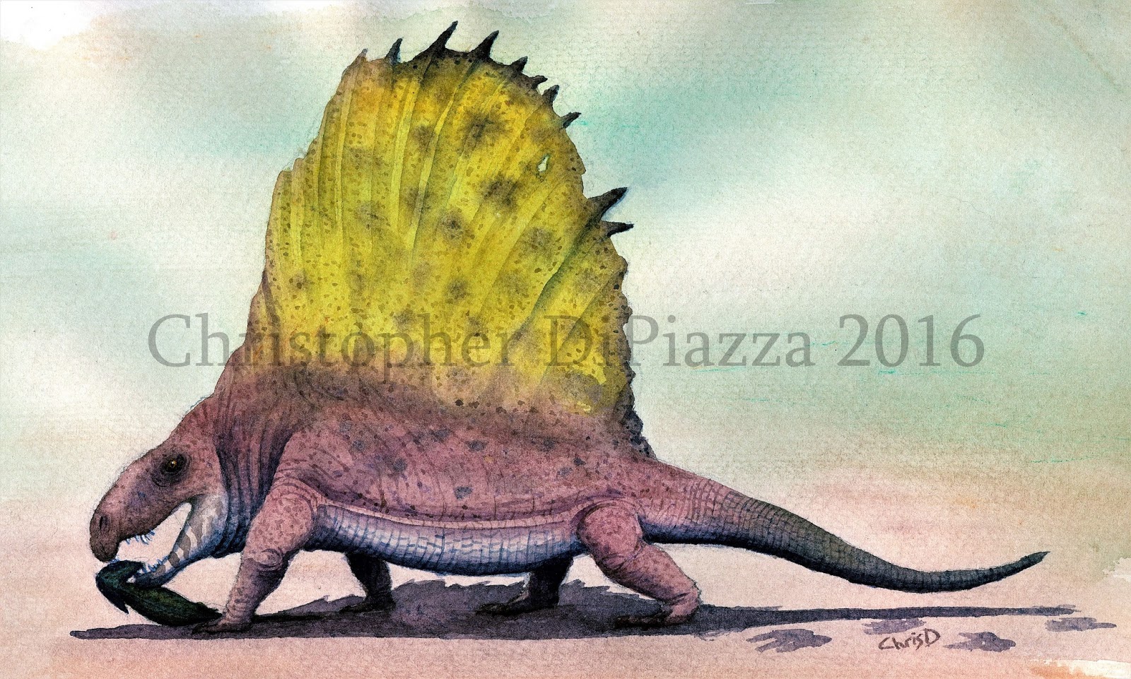 Dimetrodon