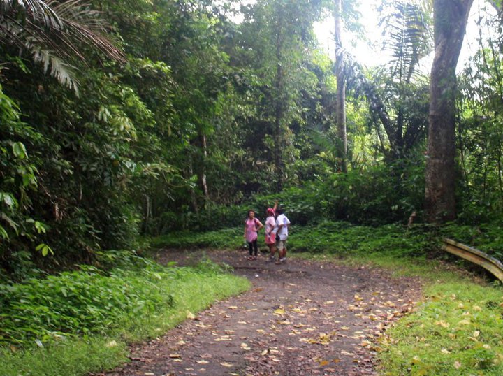 Philippine Responsible Tours: Mt. Makiling Fun Climb and Los Banos Hot ...