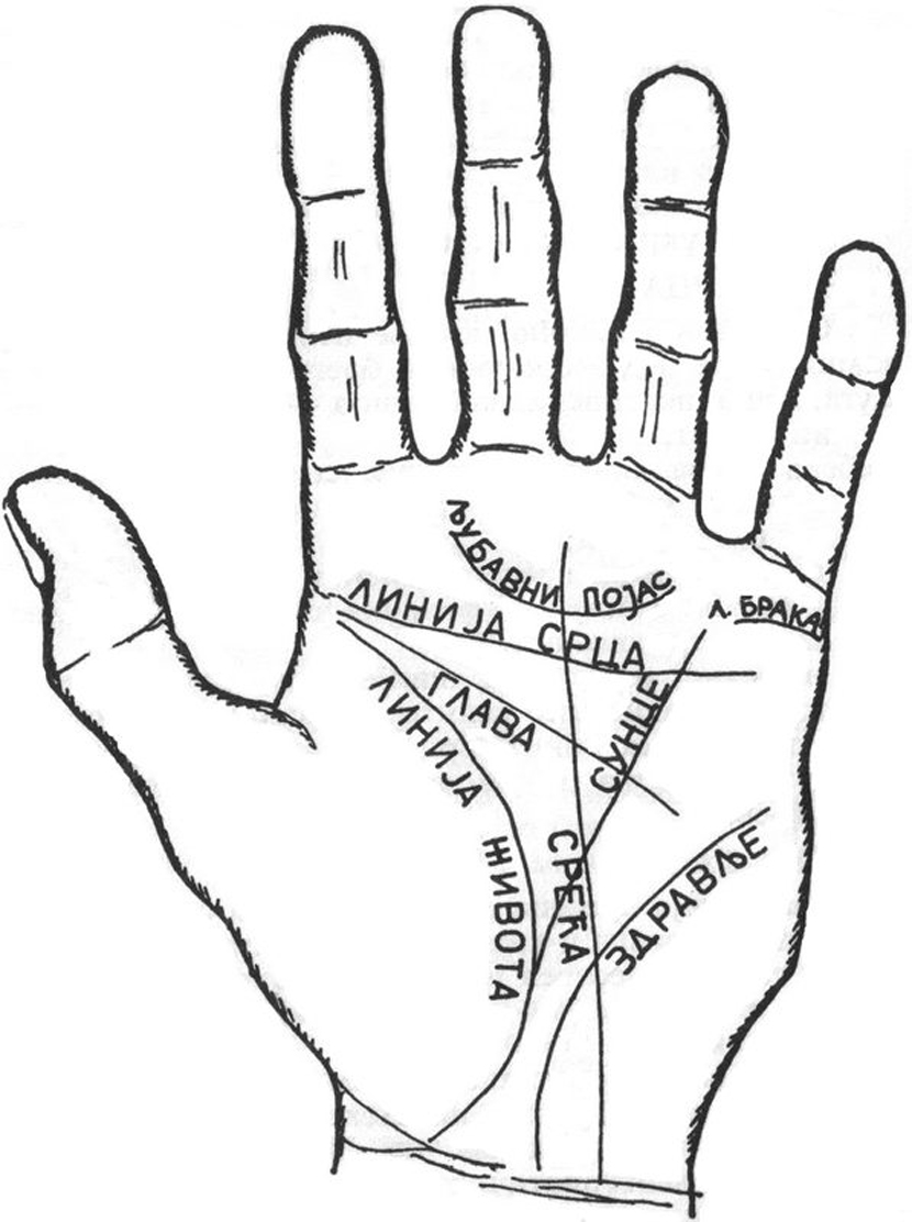 VAŠA SUDBINA JE ZAPISANA NA DLANU: Saznajte kako da je pročitate ...
