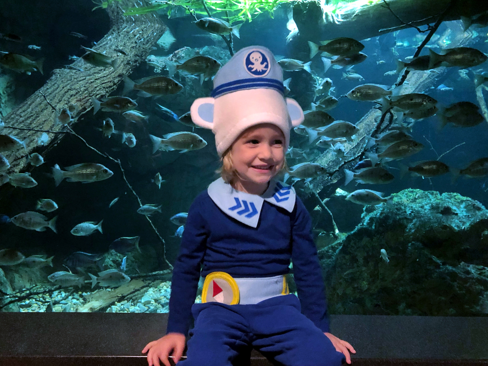 Octonauts Captain Barnacles Costume