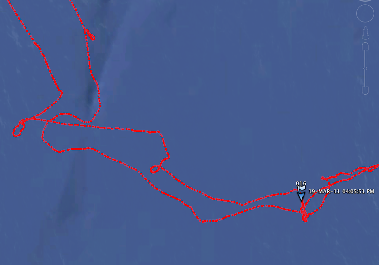 Pelagic Rhode Island 2011 March 19