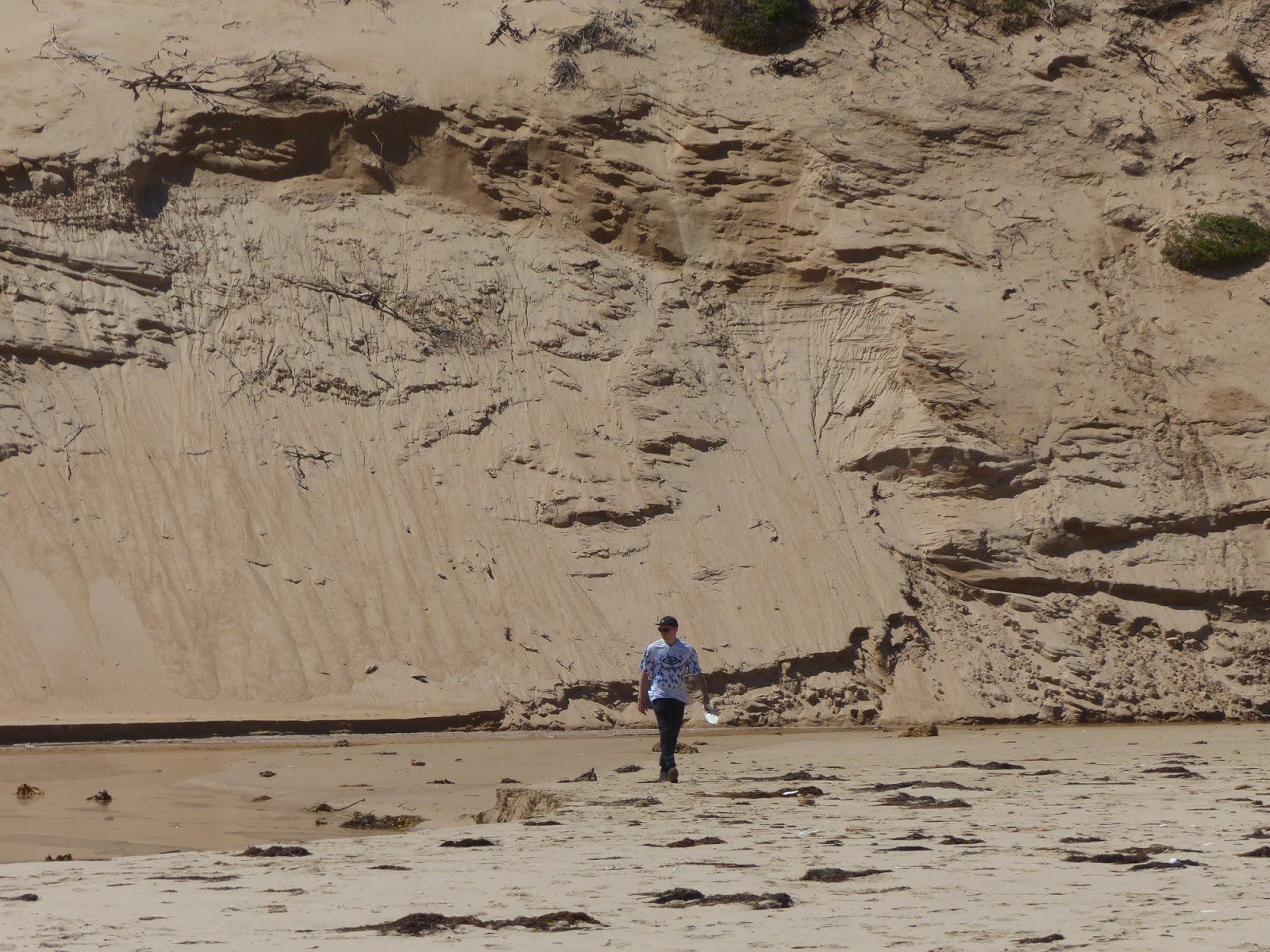 A Field Notebook: Wilson's Promontory