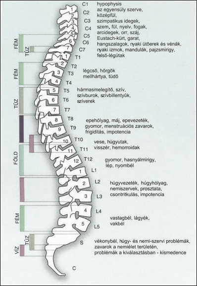 szösszenetek: Testtérképek