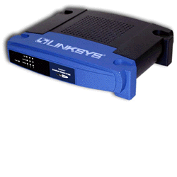 Bridge Networking | This Is MY Science