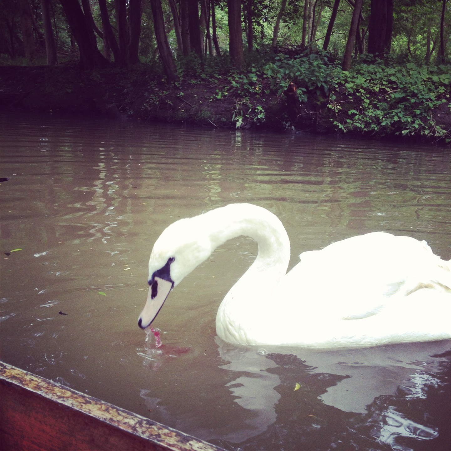 Look who's Wearing | A Lifestyle Blog