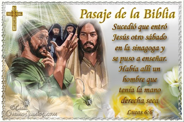 Vidas Santas: Santo Evangelio según san Lucas 6:6