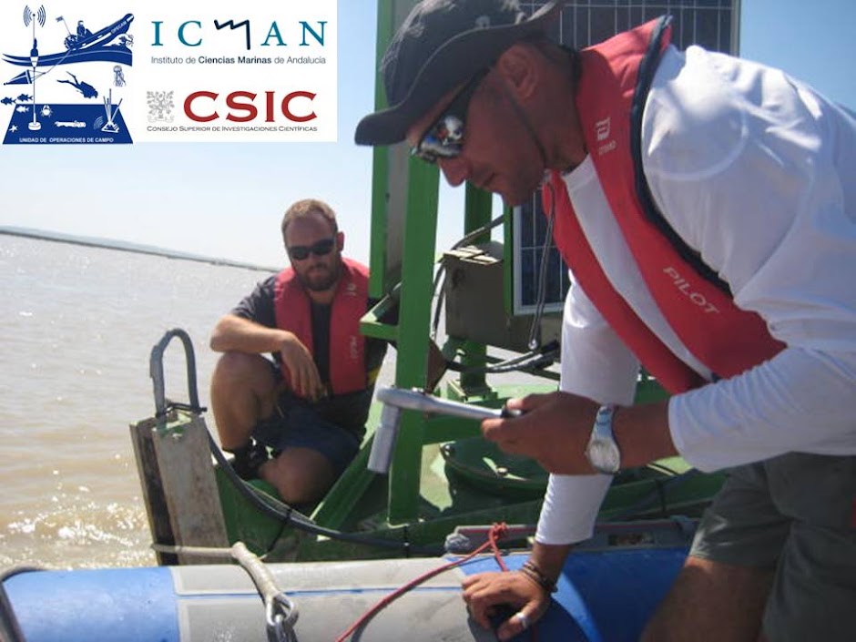 muestreos icman: Campaña Doñana
