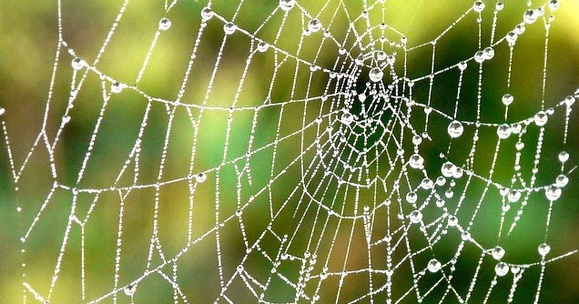 Karakteristik dan Langkah-langkah Pembelajaran Terpadu Model Webbed ...