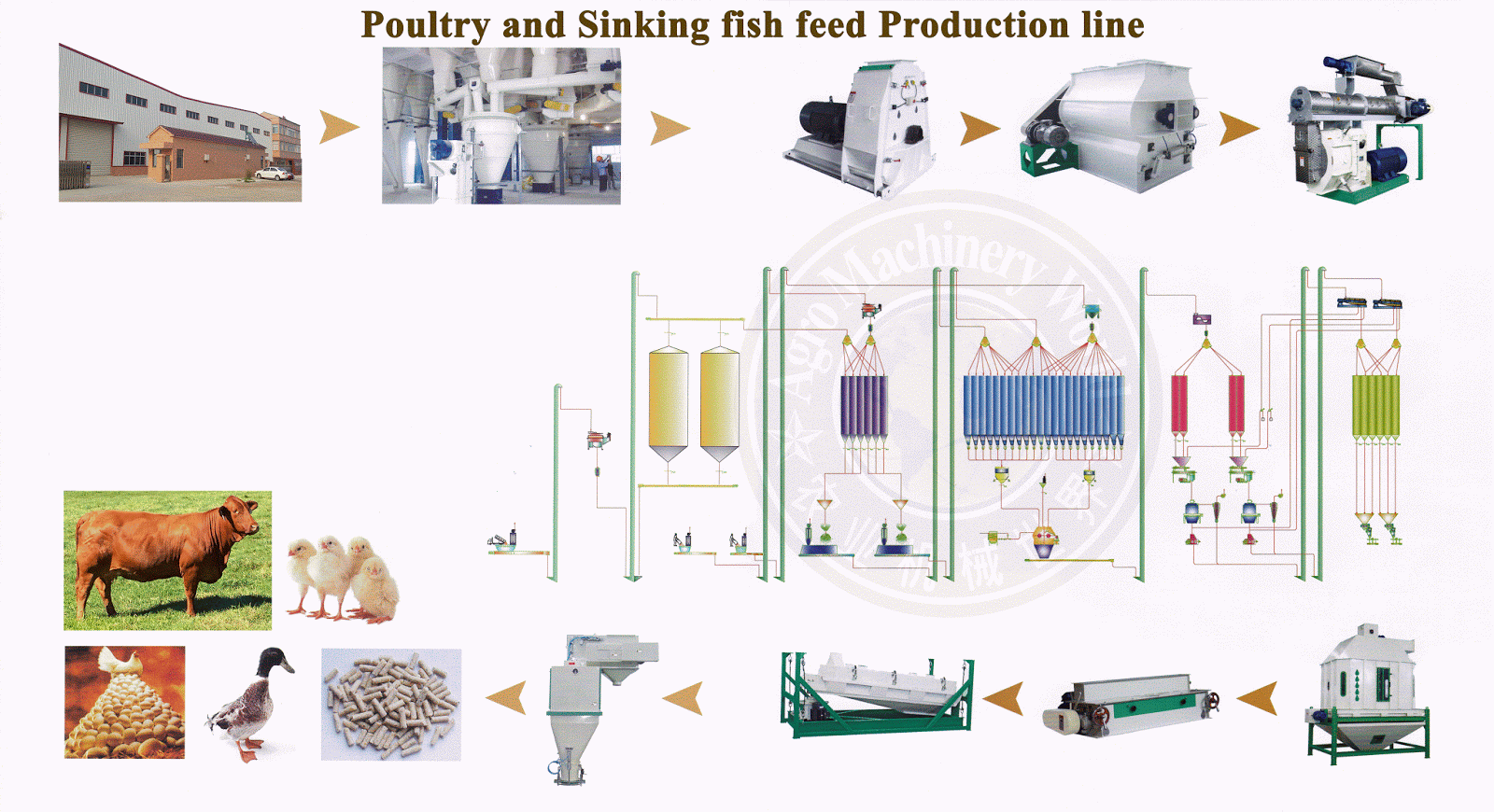 Poultry and Sinking fish feed line layout - Agro Machinery World