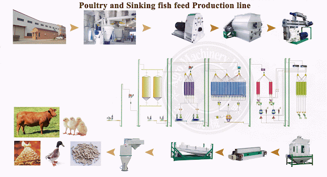 Poultry and Sinking fish feed line layout - Agro Machinery World