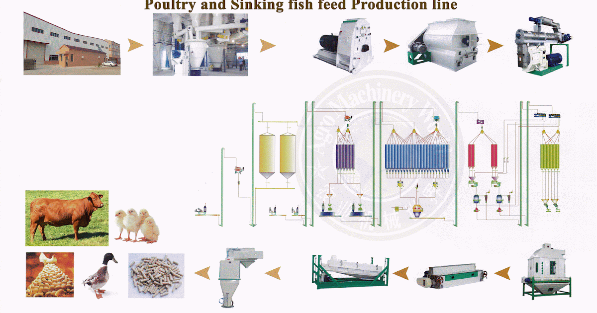 Poultry and Sinking fish feed line layout - Agro Machinery World
