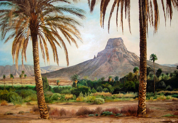 NBCS choyeros: CERRO DEL PILON