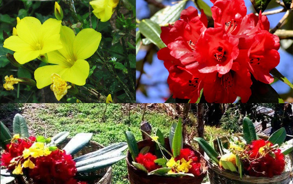 Welcome to | Pahadi Buzz | Garhwali Buzz: फूल देई | Phool Dei Festival ...