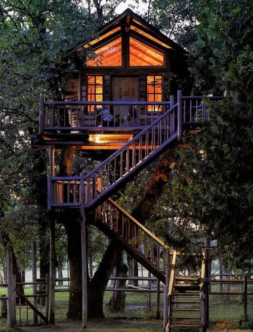 Fashionable Interiors: Treehouses