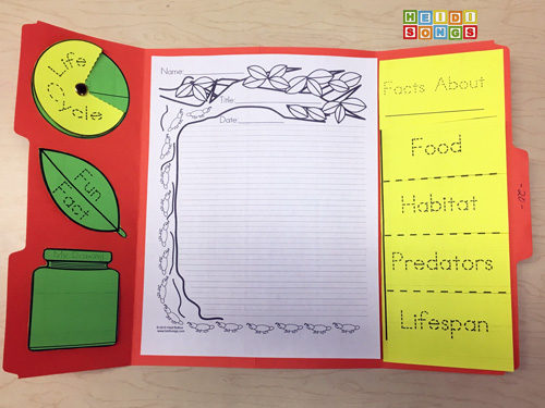 Teaching First Graders to Write an Insect Report!