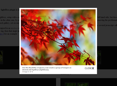 7+ jQuery Lightbox Plugin Examples with Demo - ASP.NET,C#.NET,VB.NET,JQuery,JavaScript,Gridview