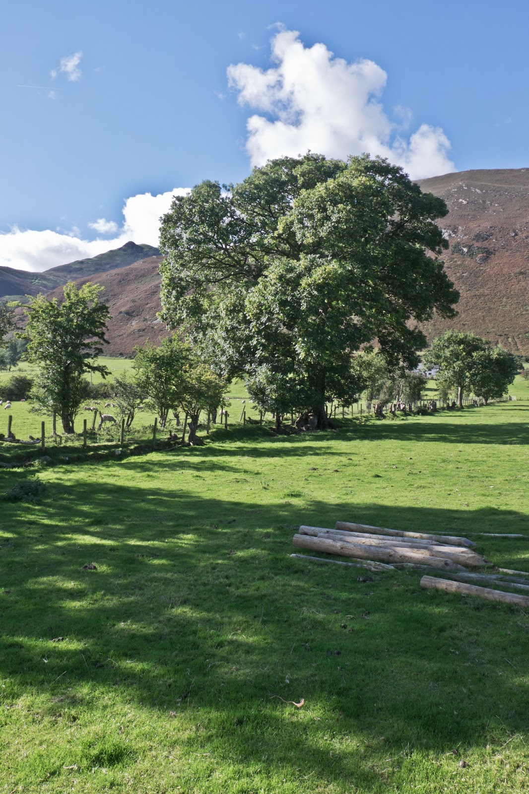 Wigtwizzle - Norman Smith's Travel Blog.: Newlands Valley and a pint in ...