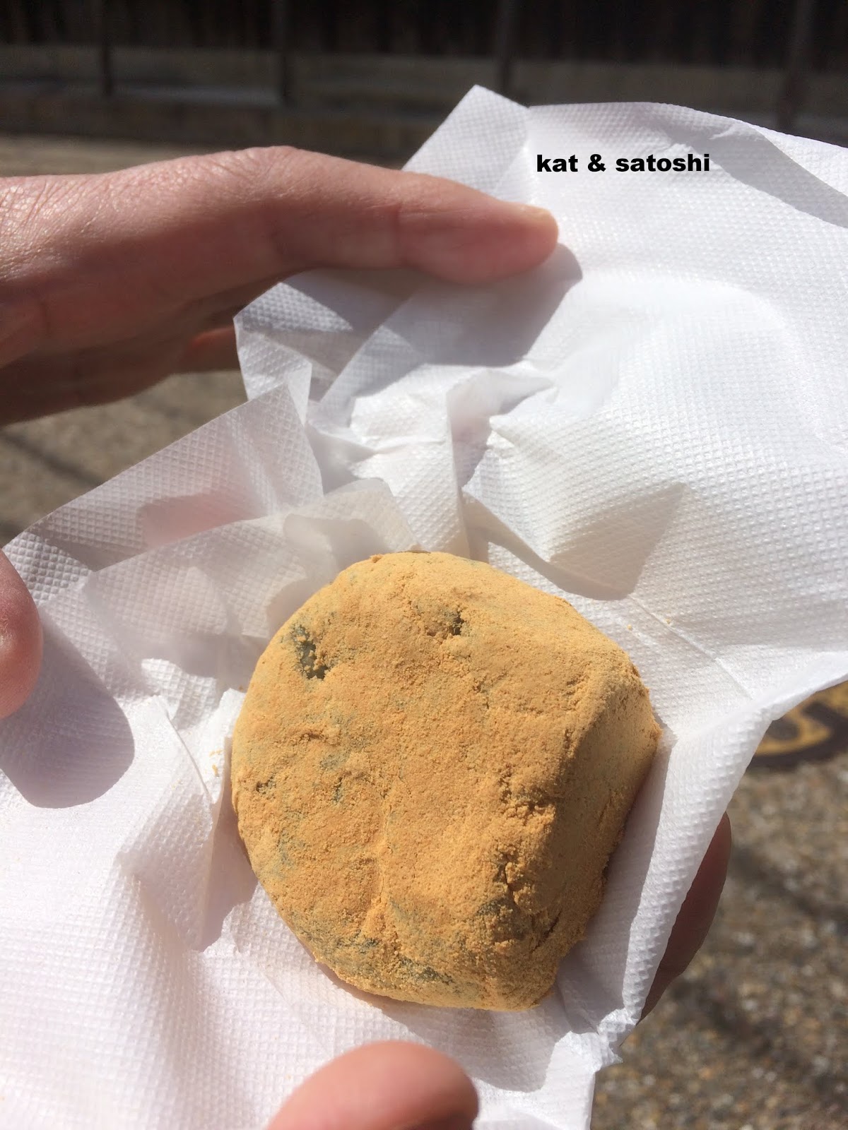 Our Adventures in Japan: osaka-gojo