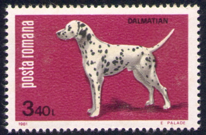 Timbre filatelice: Timbre cu animale-Expozitia Nationala Canina